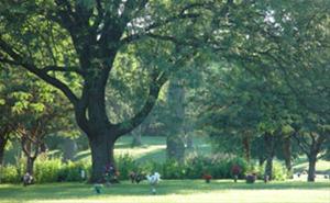 Facilities - Cedar Memorial